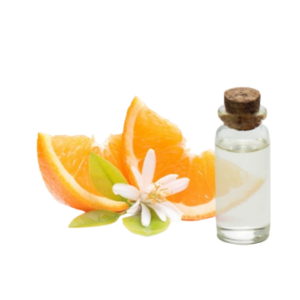 Recette du Fion Vendéen : Un Délice Traditionnel - Recette 4 Saisons